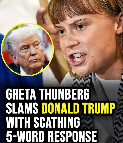 Greta Thunberg’s Sharp Comeback to Donald Trump After His “Anger Management” Remark – Blue Peak